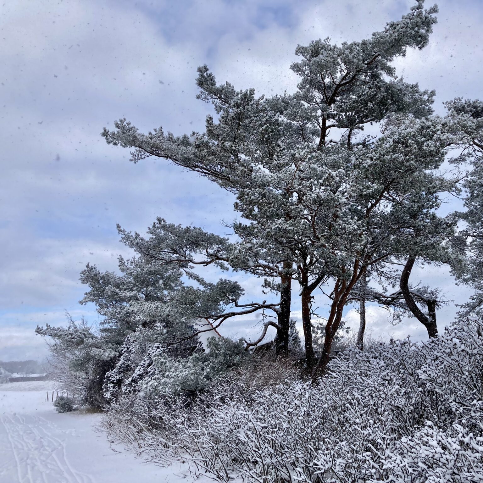 StrandHotel Vitte – Pension und Seminarhaus auf Hiddensee